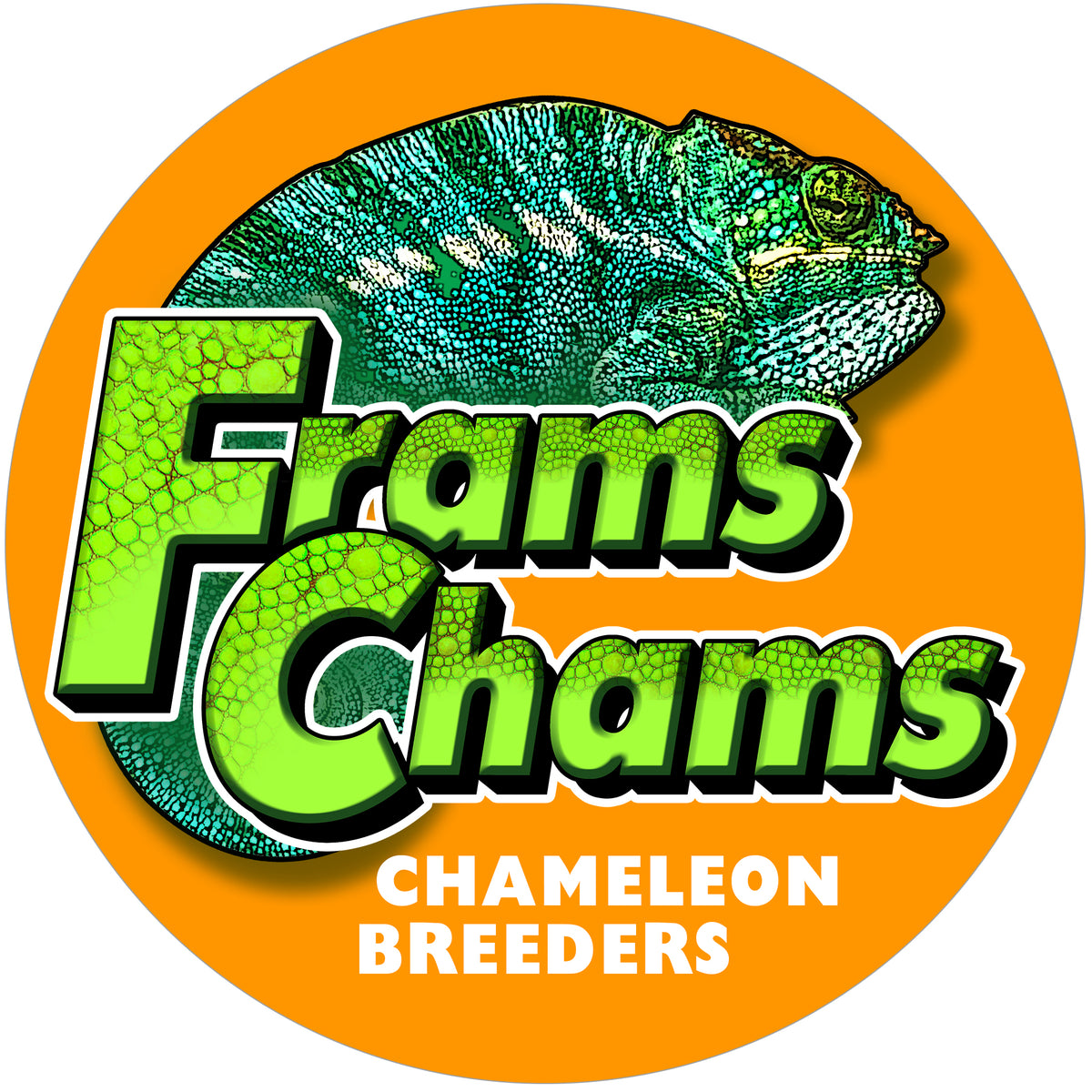 FramsChams' Products & Gift Cards – FramsChams Panther Chameleons