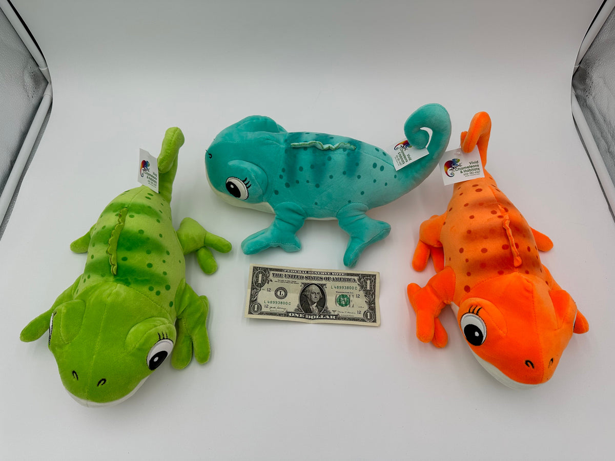 Chameleon Fluffy Plushy – FramsChams Panther Chameleons